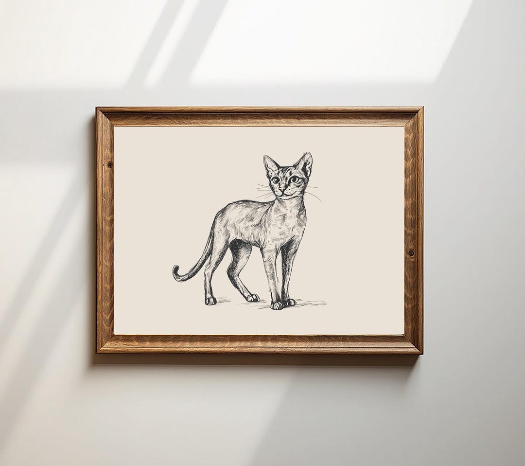 Abyssinian Cat Print, Vintage Cat Poster, Retro Cat Wall Art, Cat ...