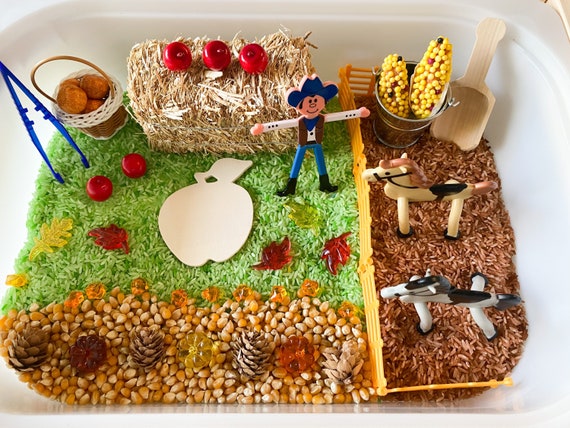 Horse Farm Sensory Bin | Etsy