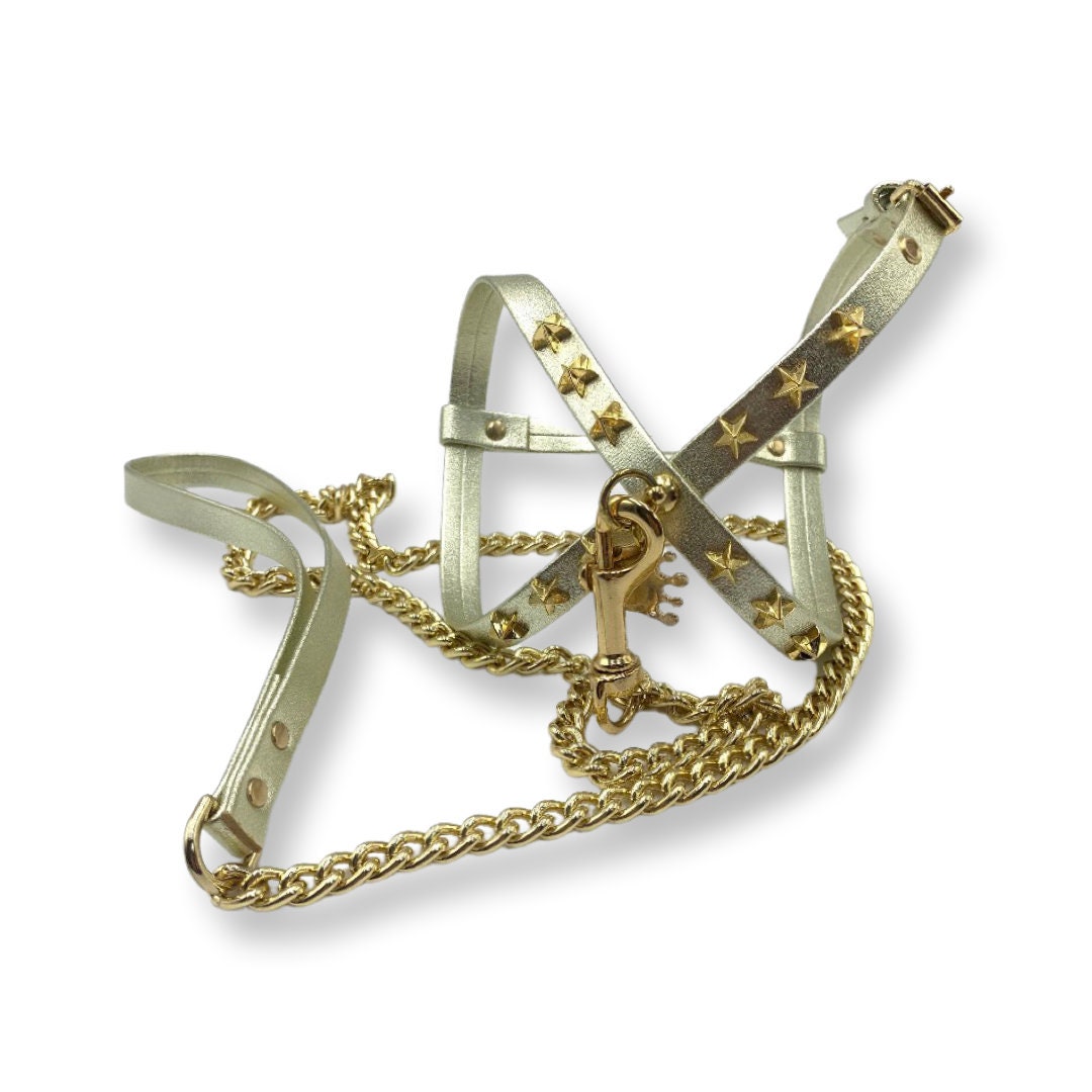 Gold Star Dog Harness and Leash Set / Luxury Dog / Teacup Dog Harness ...