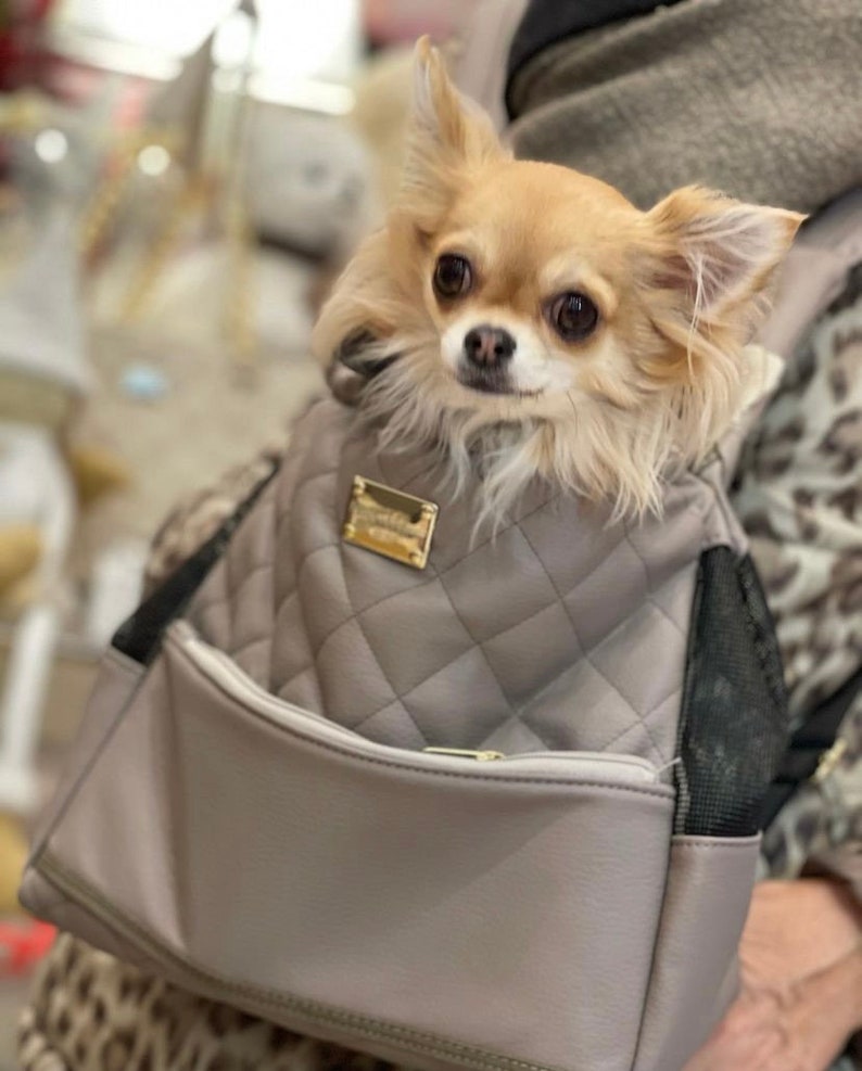 Beige Small Dog Pouch / Small Dog Pouch Bag / Dog Tote / Dog Carrier ...