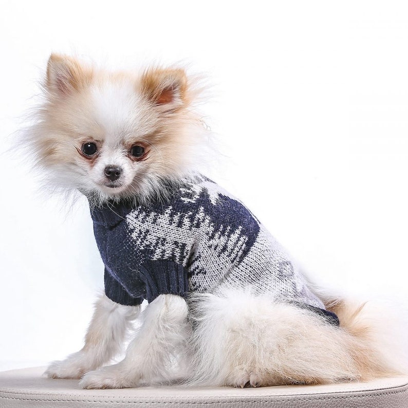 Dog Sweater / Winter Dog / Cashmere Sweater / Small Dog / Prince and ...