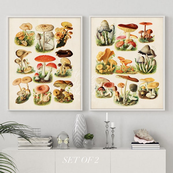 Antique Mushroom Plate Set - Etsy