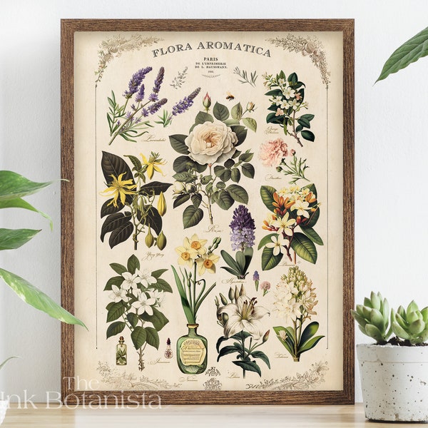 Aromatherapy Chart - Etsy