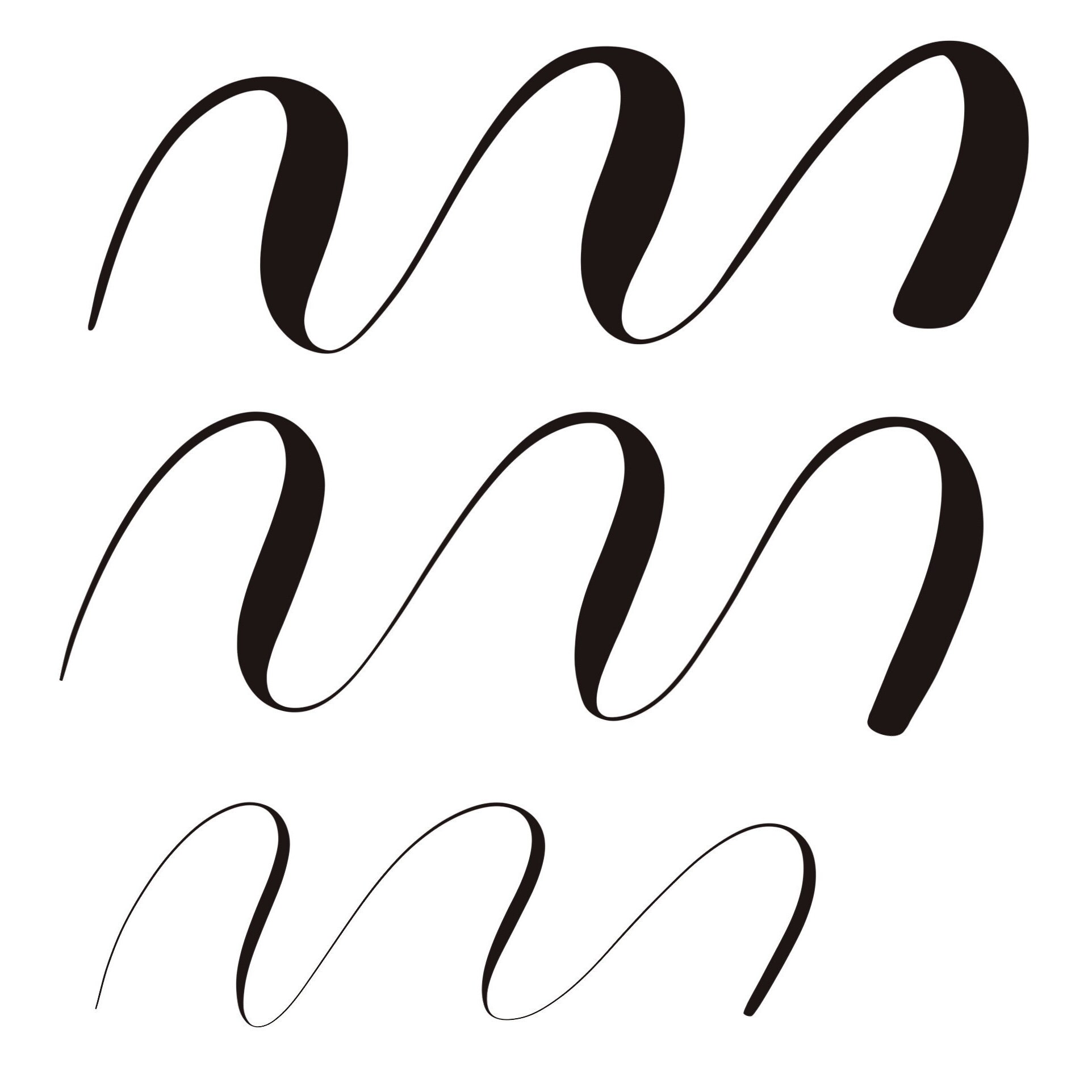 The Lazy Cat Brush Procreate Calligraphy Brush by the Lazy Cat - Etsy