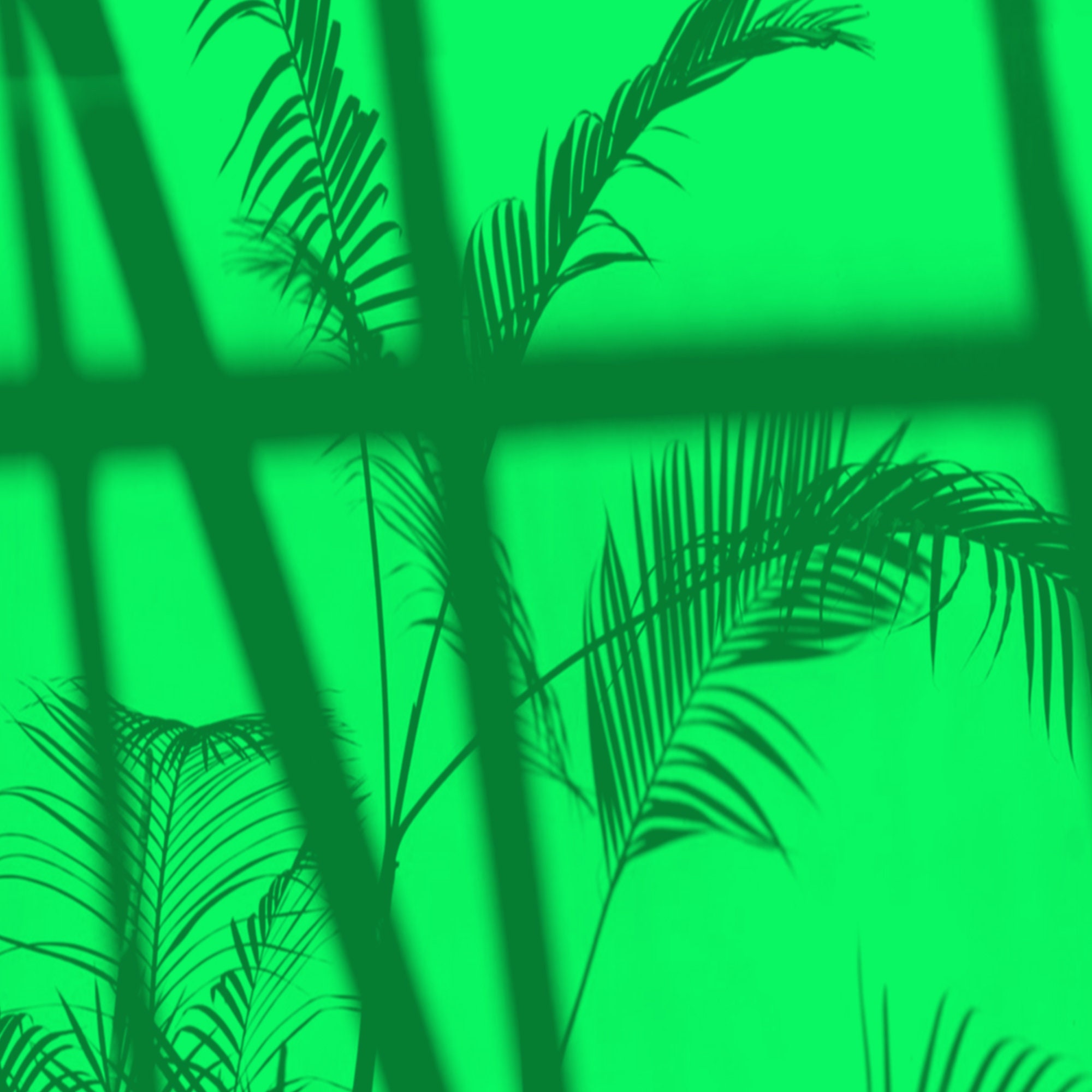 Window Shadow Backdrop for Photoshop, Photoshop Background, Shadow ...