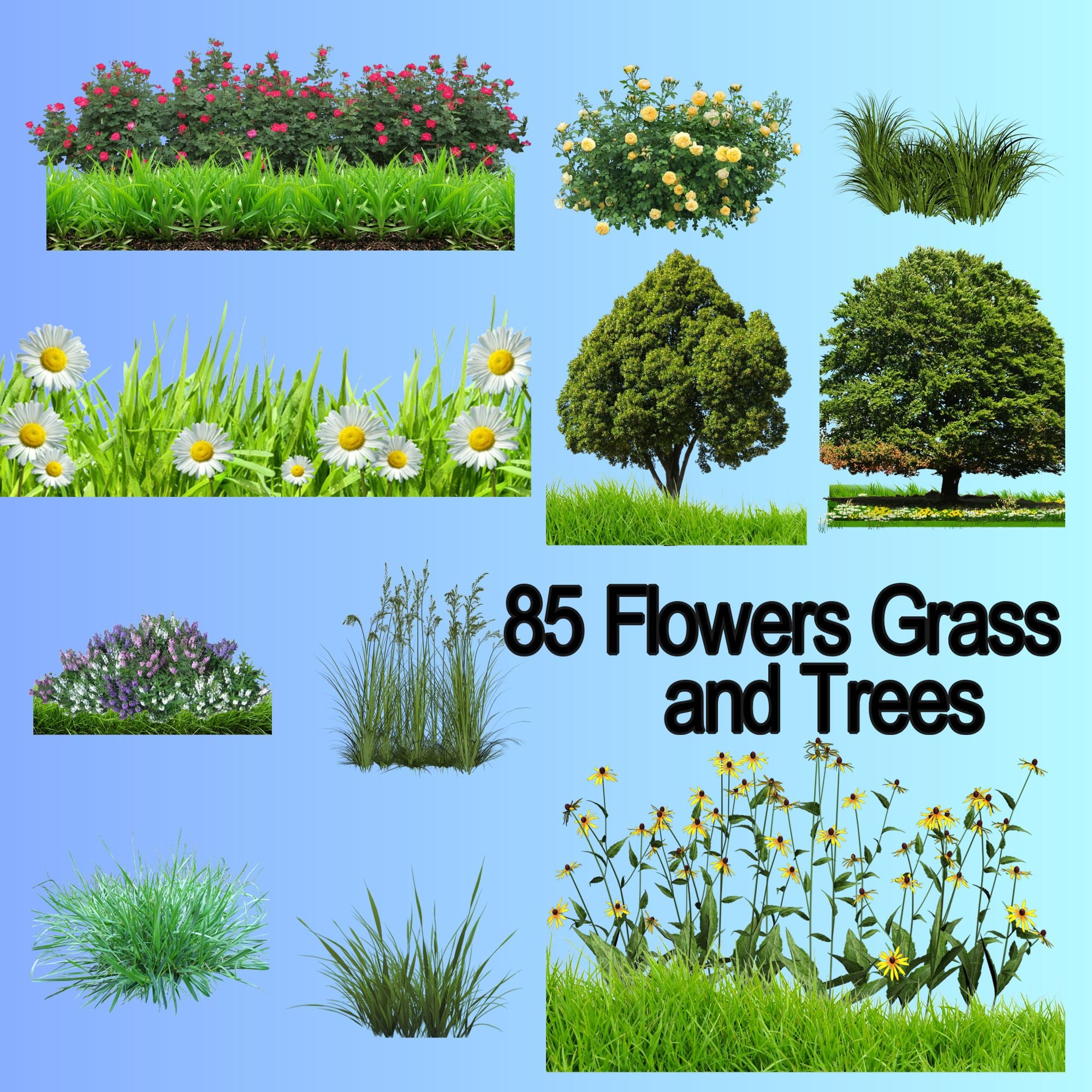 Flowers Grass Tree and Plant Photoshop Overlays, Flowers, Plant ...