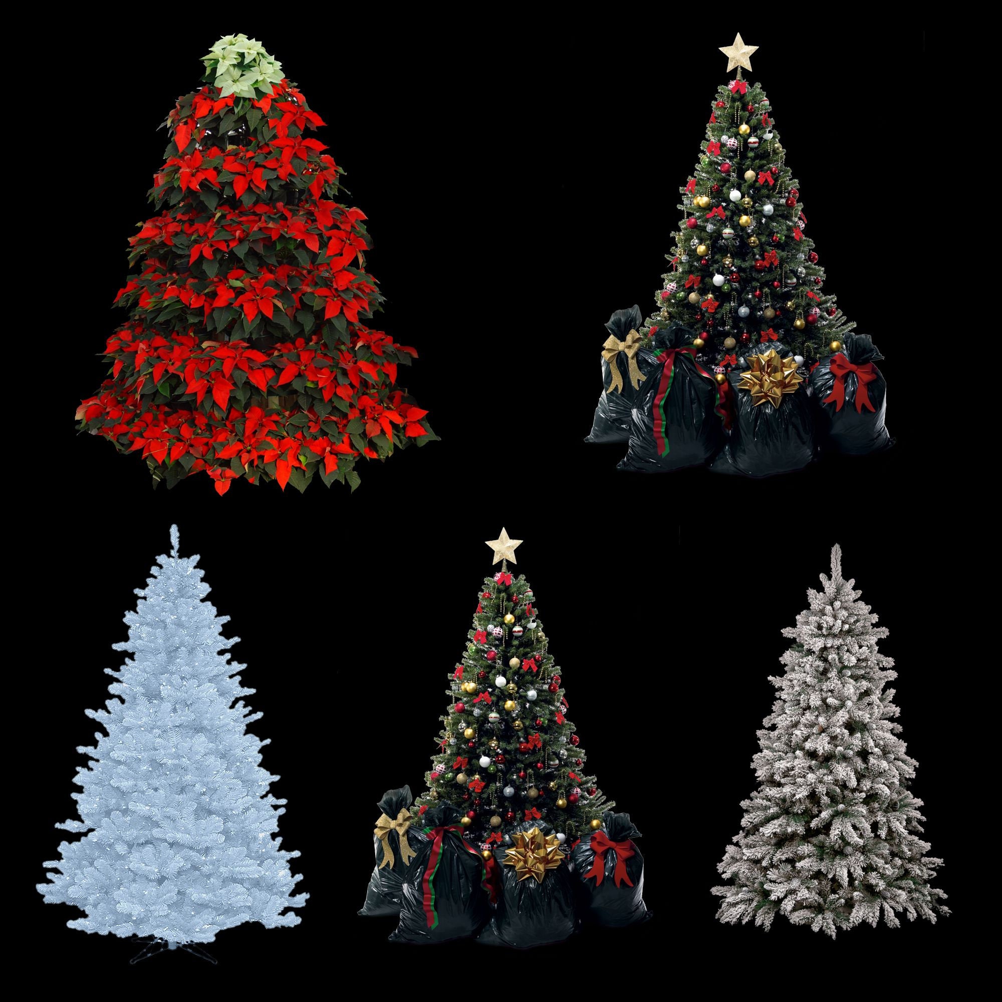 Christmas Tree Photoshop Overlays, Christmas Tree, Christmas, Tree ...
