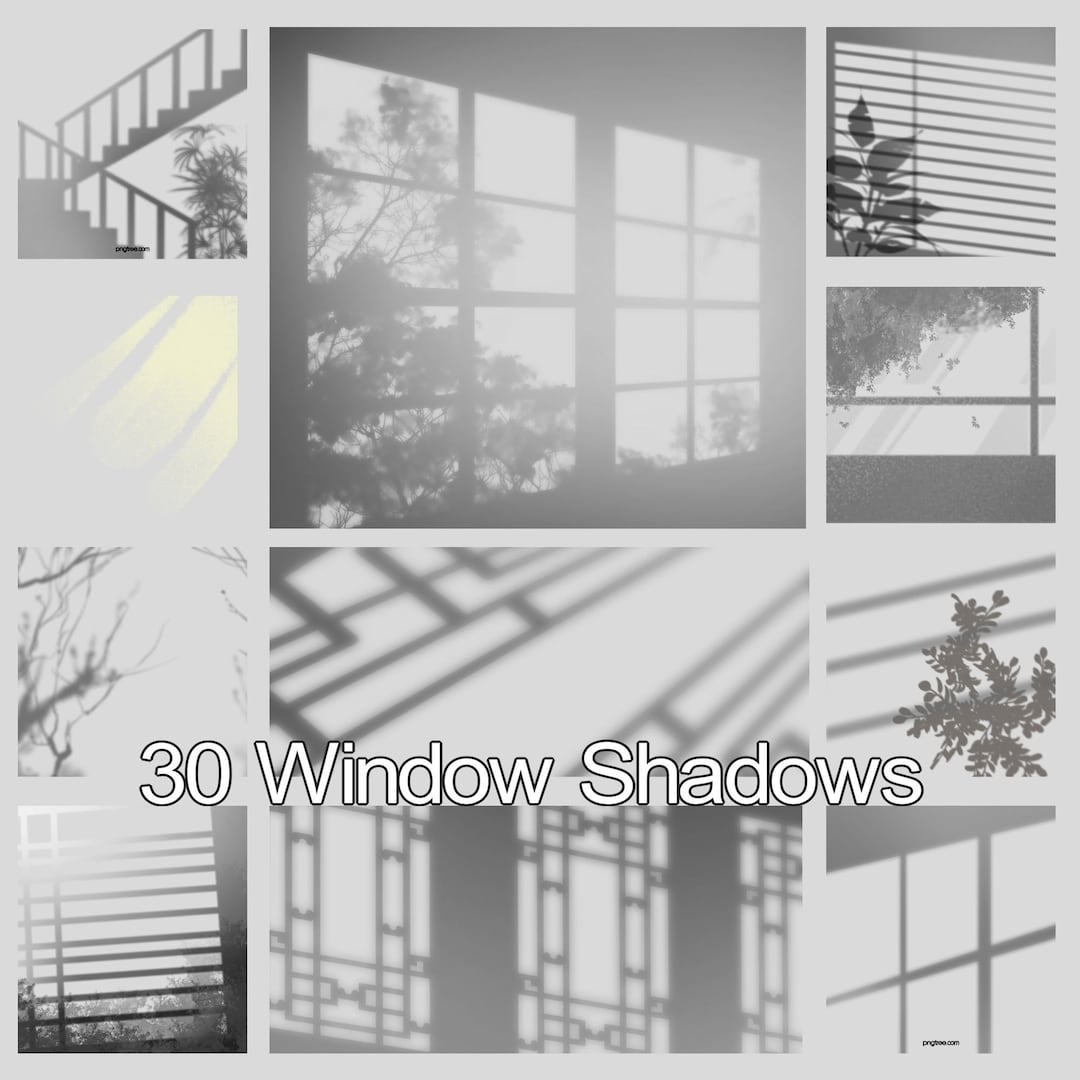 Window Shadows Photoshop Overlays, Windows, Shadows, Plants, Trees ...