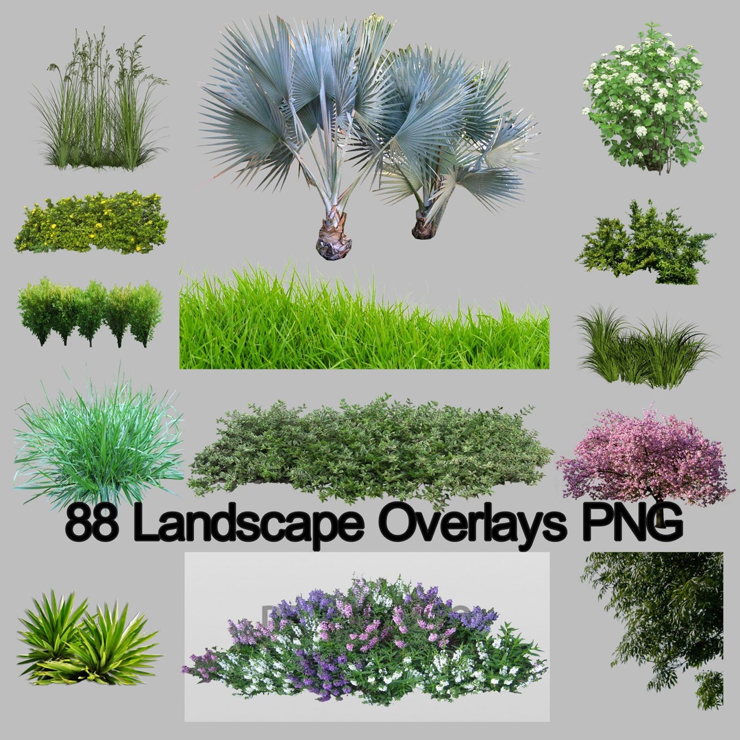 Landscape Overlays, Photoshop Overlays, Grass Overlays, Tree Overlays ...