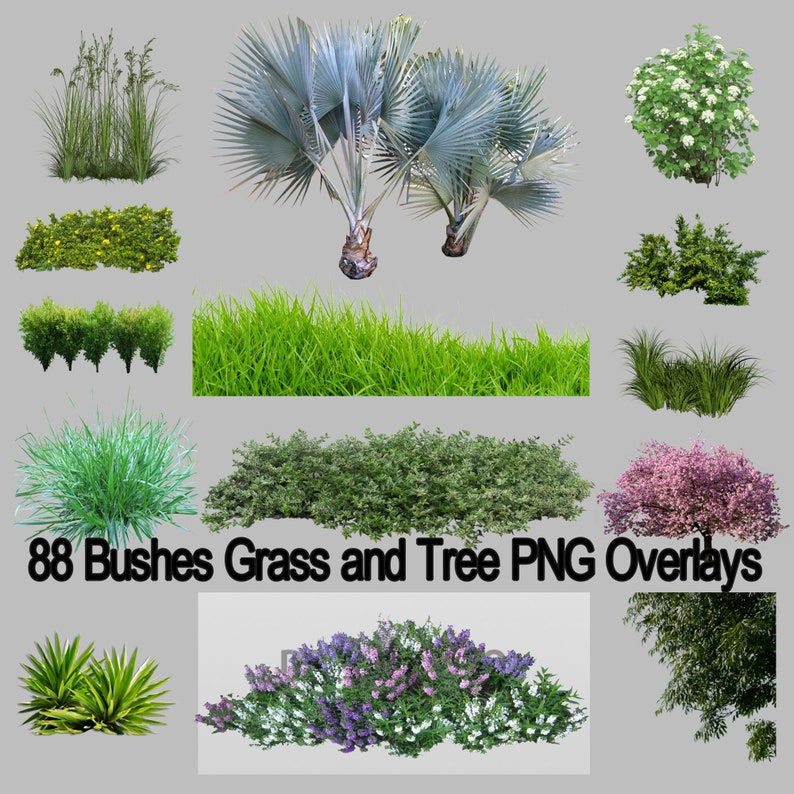 Landscape Overlays Photoshop Overlays Grass Overlays Tree - Etsy