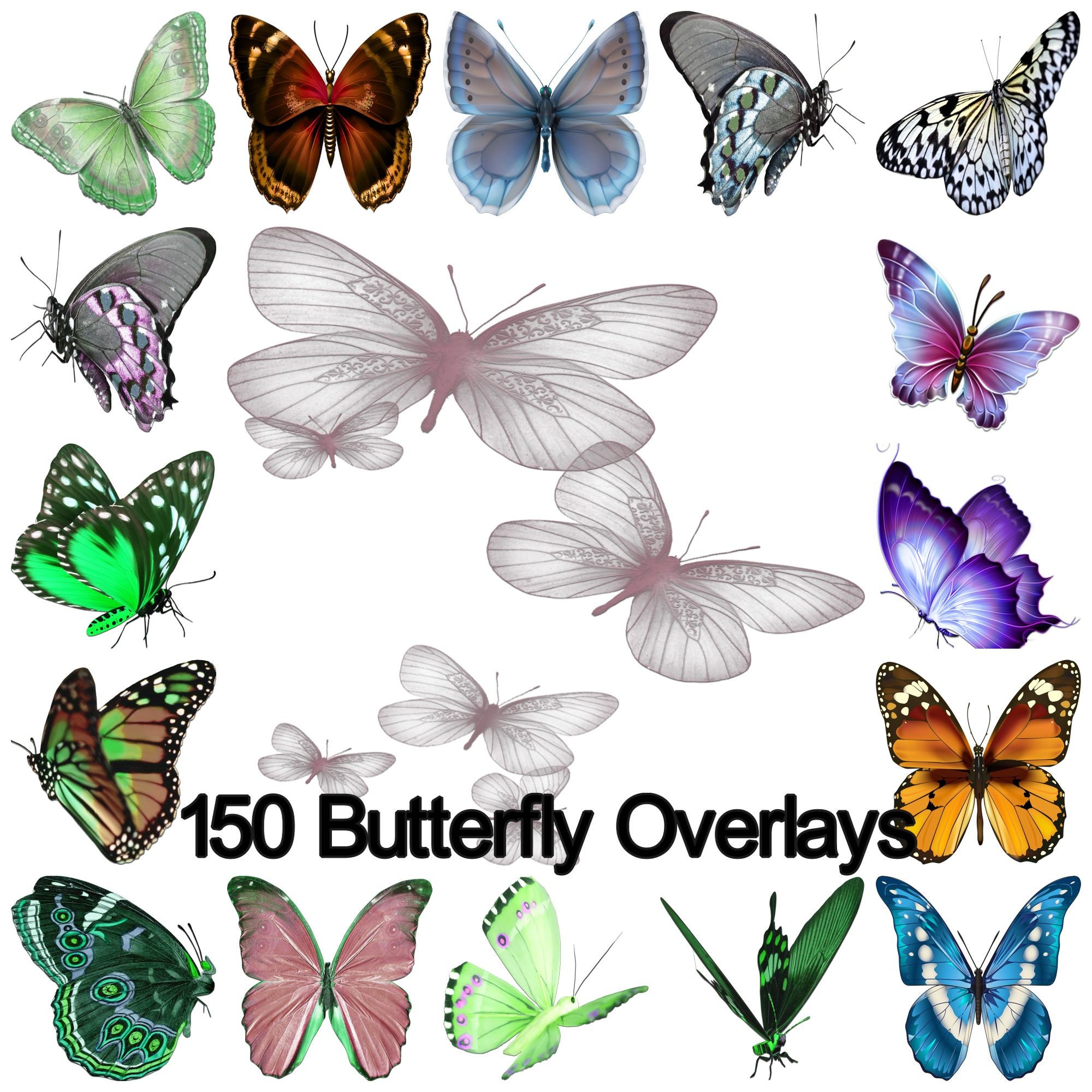 150 PNG Butterfly Overlays Photoshop Overlays Butterflies - Etsy