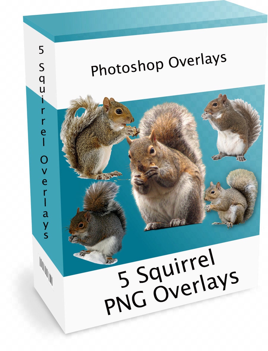 Squirrel Overlays for Photoshop, Photoshop Overlays, Squirrels, Animals ...