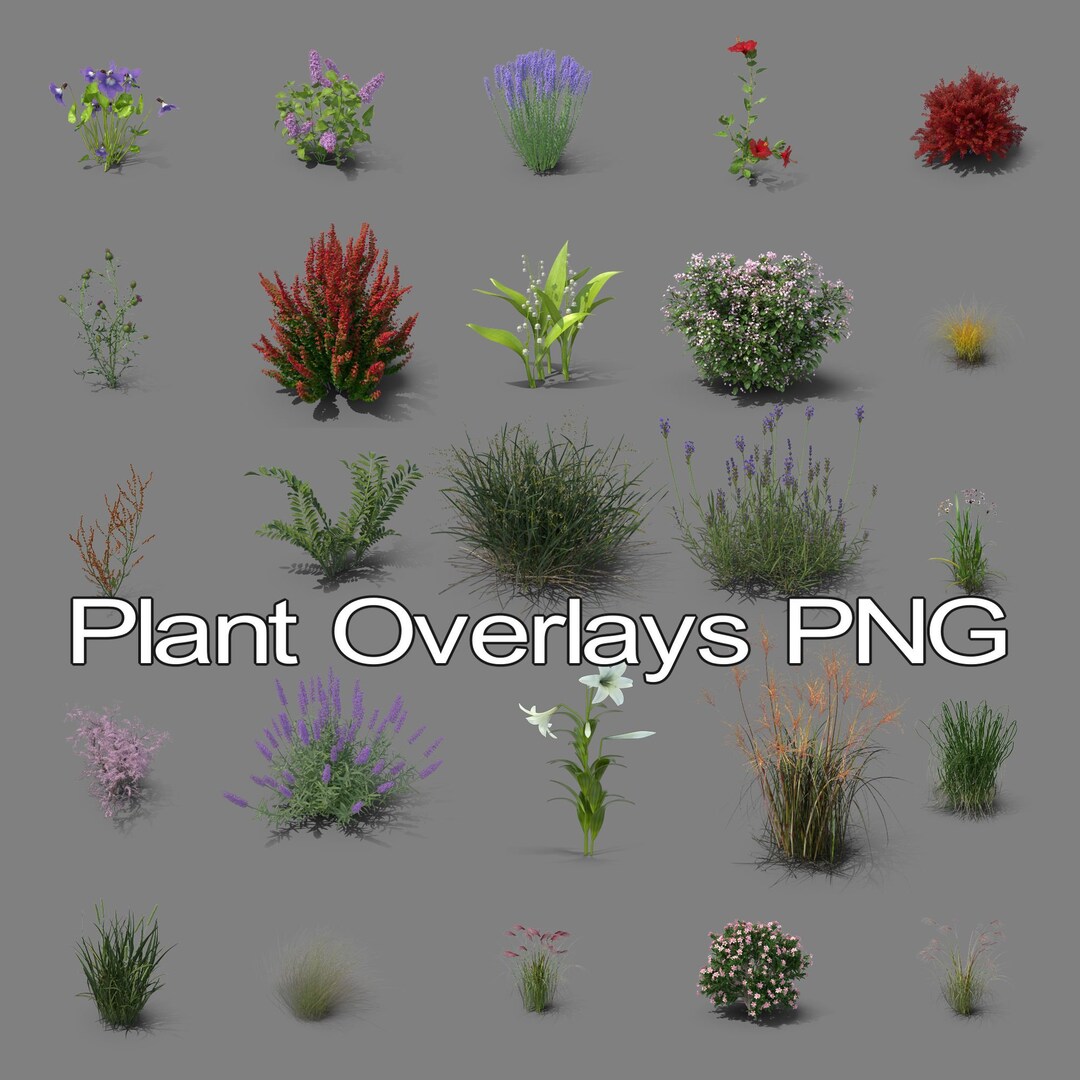 Plant Overlays, Tree Overlays, Flower Overlays, Grass Overlays ...