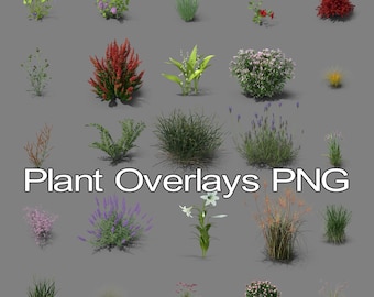 90 Shrubs Photo Overlays for Photoshop Boxwood Bush - Etsy