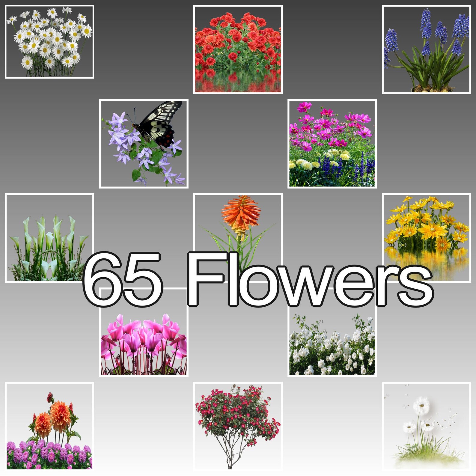 Flower Overlays for Photoshop, Flowers, Plants, Trees, Landscape ...