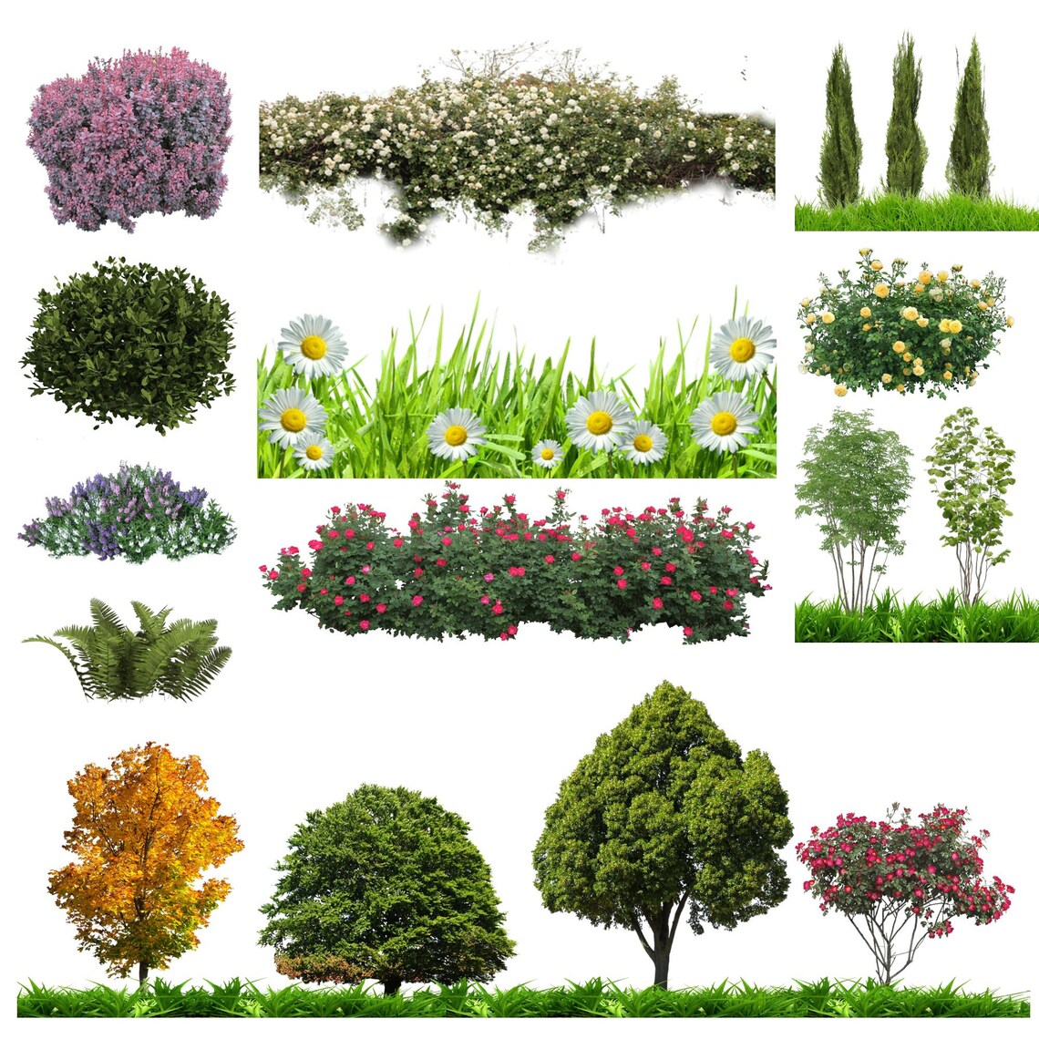 Landscape Overlays Photoshop Overlays Grass Overlays Tree - Etsy