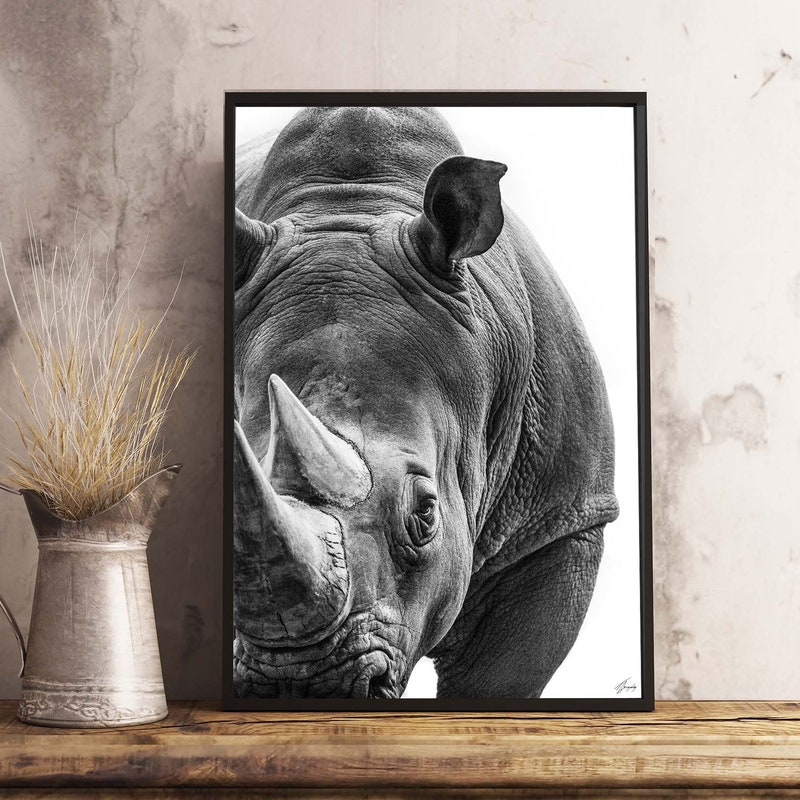 Rhino Art Print - Etsy