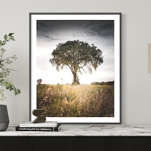 Tree Photography Print, Nature Wall Art, Lone Tree Photo, Sunset Tree ...
