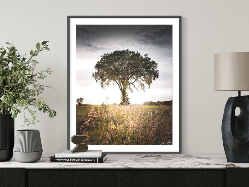 Lone Tree Sunset Photography Print | Nature Fine Art - Etsy