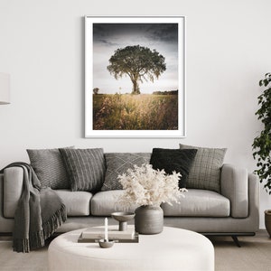 Tree Photography Print, Nature Wall Art, Lone Tree Photo, Sunset Tree ...