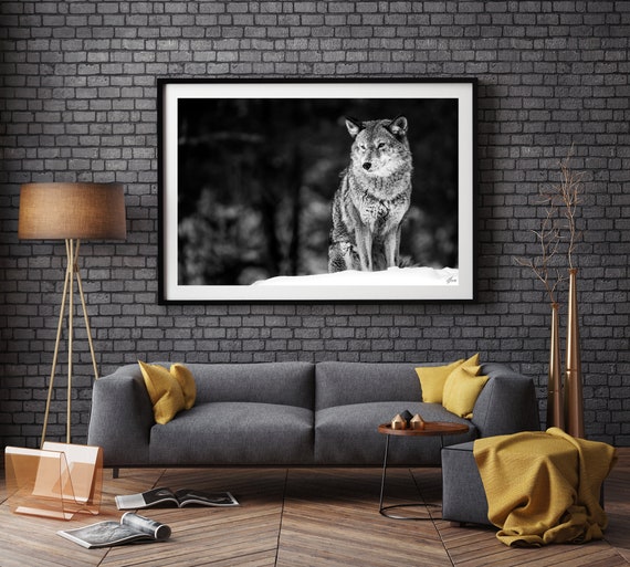 Wolf Printed Photography Wolf Wall Art Wildlife Photography - Etsy
