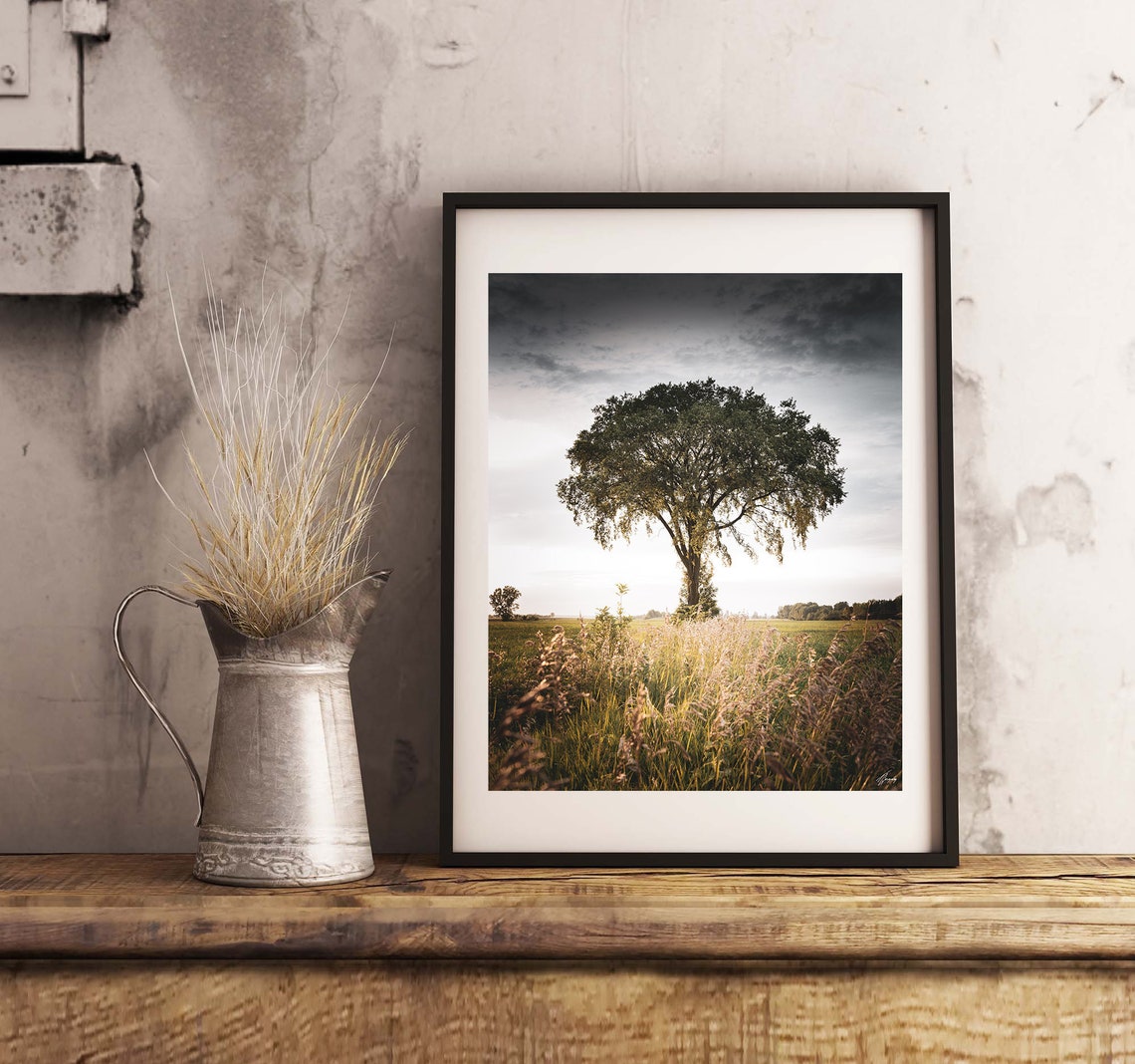 Unique Tree Fine Art Photography Tree Wall Art Decor - Etsy