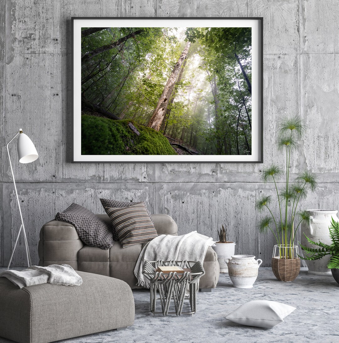 Forest Art Print, Woodland Wall Art, Tree Photography Print, Fine Art ...
