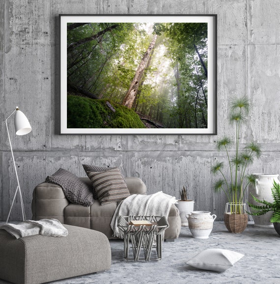 Nature Photography Print Forest Photo Wall Art Botanical - Etsy