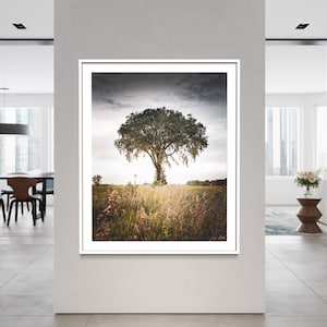 Tree Photography Print, Nature Wall Art, Lone Tree Photo, Sunset Tree ...