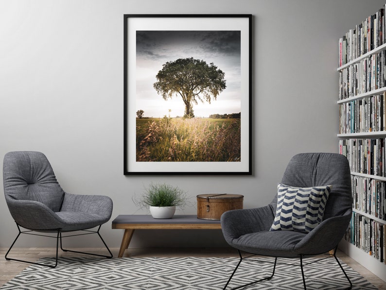 Unique Tree Fine Art Photography Tree Wall Art Decor - Etsy