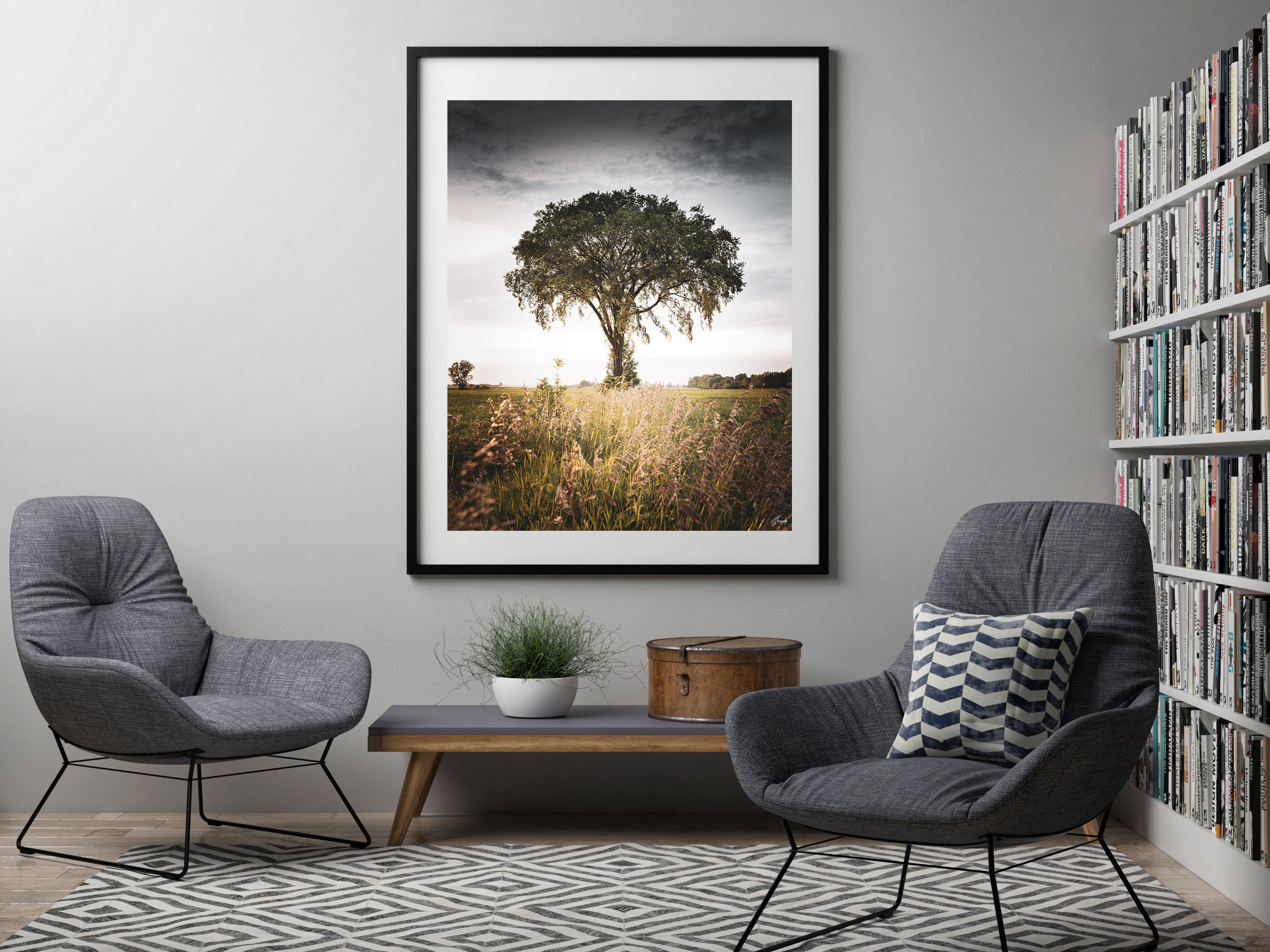 Unique Tree Fine Art Photography Tree Wall Art Decor - Etsy