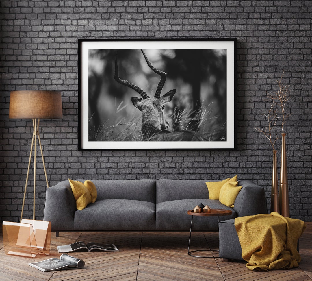Africa Animal Prints, Unique Fine Art Wildlife Photography, Spring Home ...