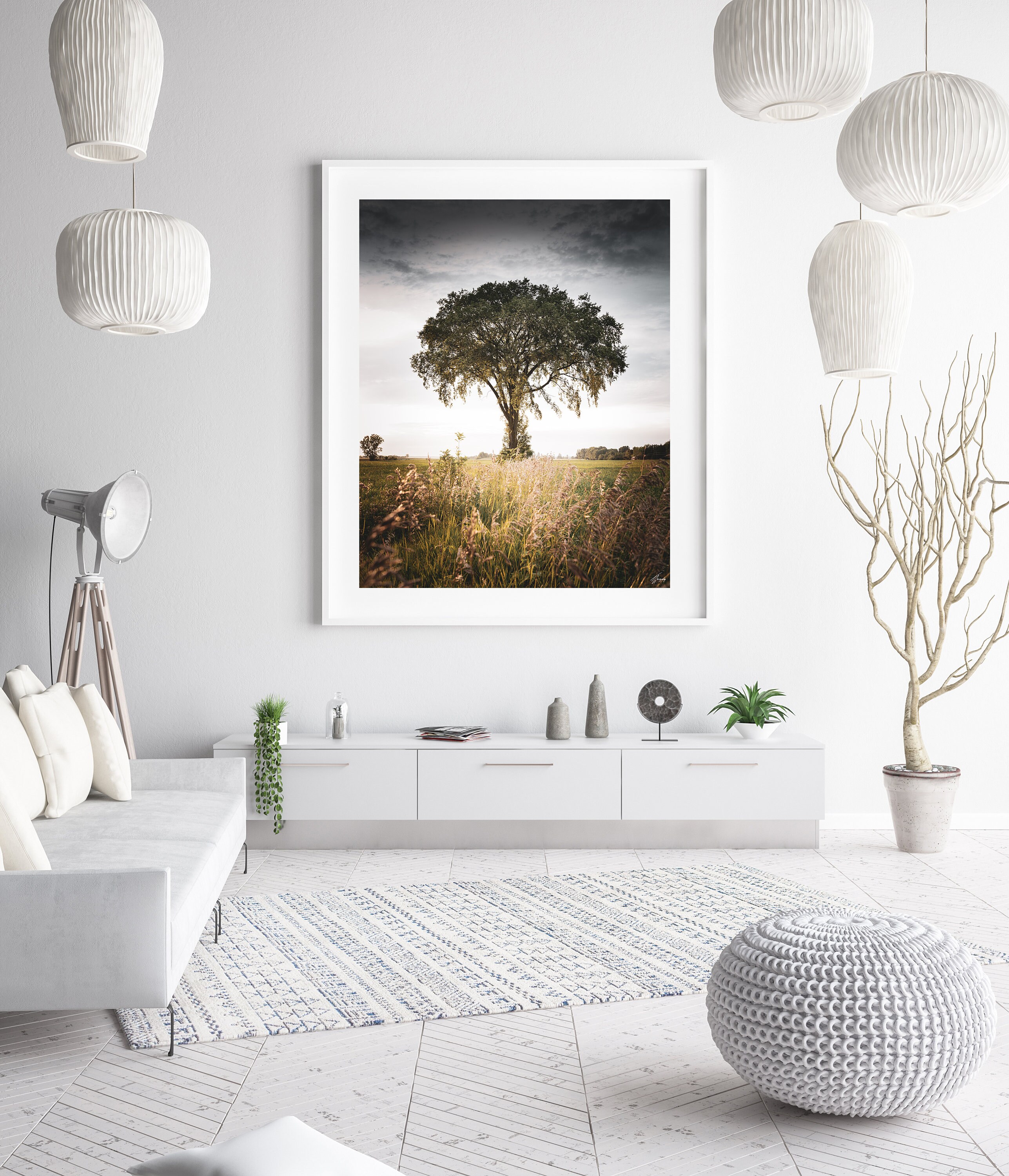 Unique Tree Fine Art Photography Tree Wall Art Decor - Etsy
