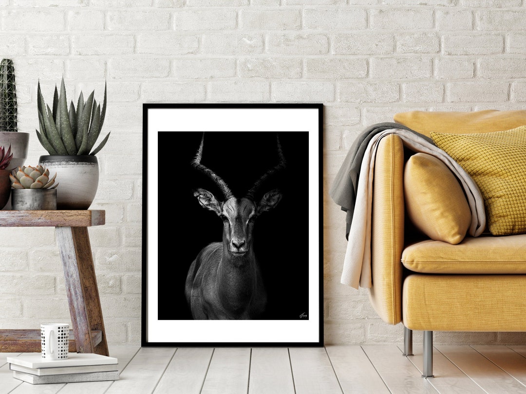 Antelope Wall Art, Unique Fine Art Print, Wildlife Photography, African ...