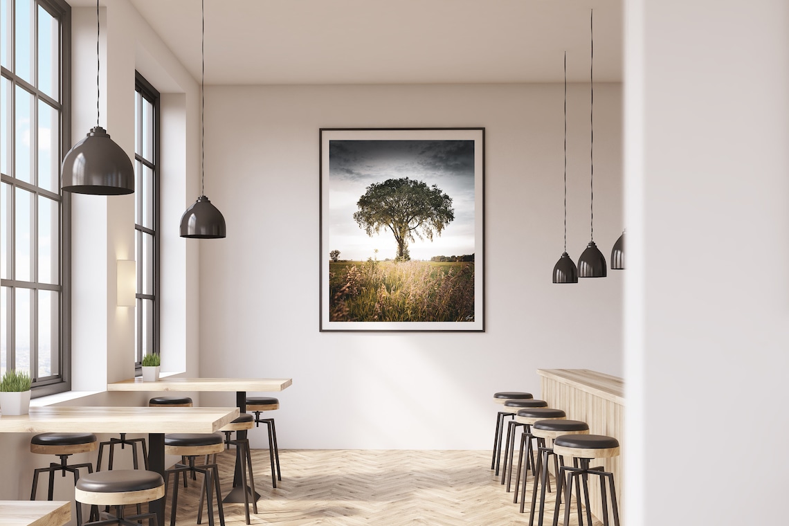 Unique Tree Fine Art Photography Tree Wall Art Decor - Etsy