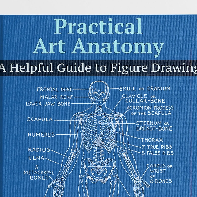 VincentsBookshelf - Etsy