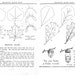 Drawing Made Easy EG Lutz, Step by Step Drawing Book. Learn How to Draw ...