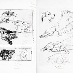 Drawing for Beginners Book by Dorothy Furniss Learn How to Draw Step by ...