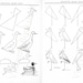 Drawing Made Easy EG Lutz, Step by Step Drawing Book. Learn How to Draw ...