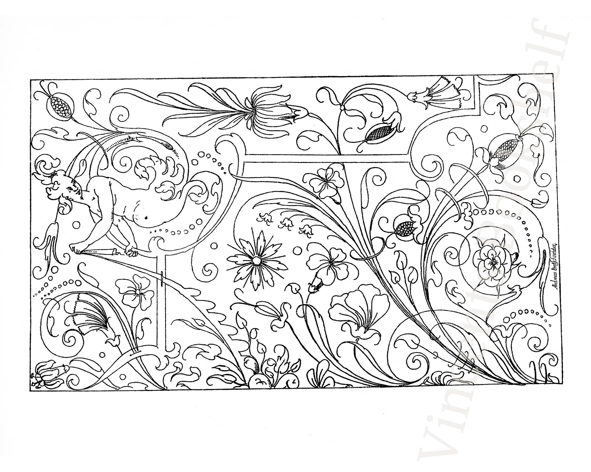 Vintage Embroidery Designs by A. Bretschneider. Embroidery - Etsy