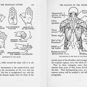 Practical Art Anatomy Lutz, Vintage Drawing Book, Artistic Anatomy ...