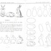 Drawing Made Easy EG Lutz, Step by Step Drawing Book. Learn How to Draw ...