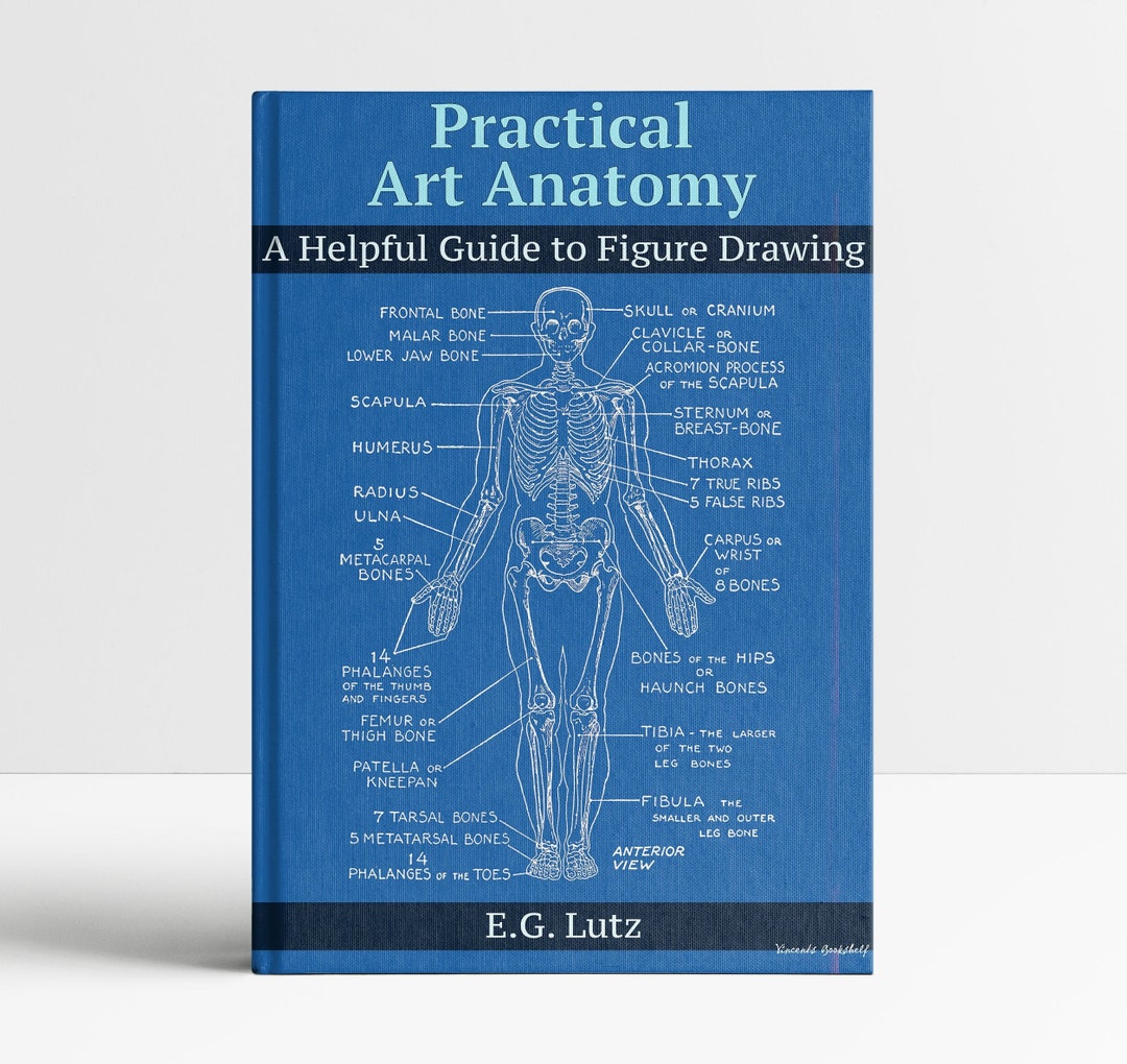 Practical Art Anatomy Lutz, Vintage Drawing Book, Artistic Anatomy ...