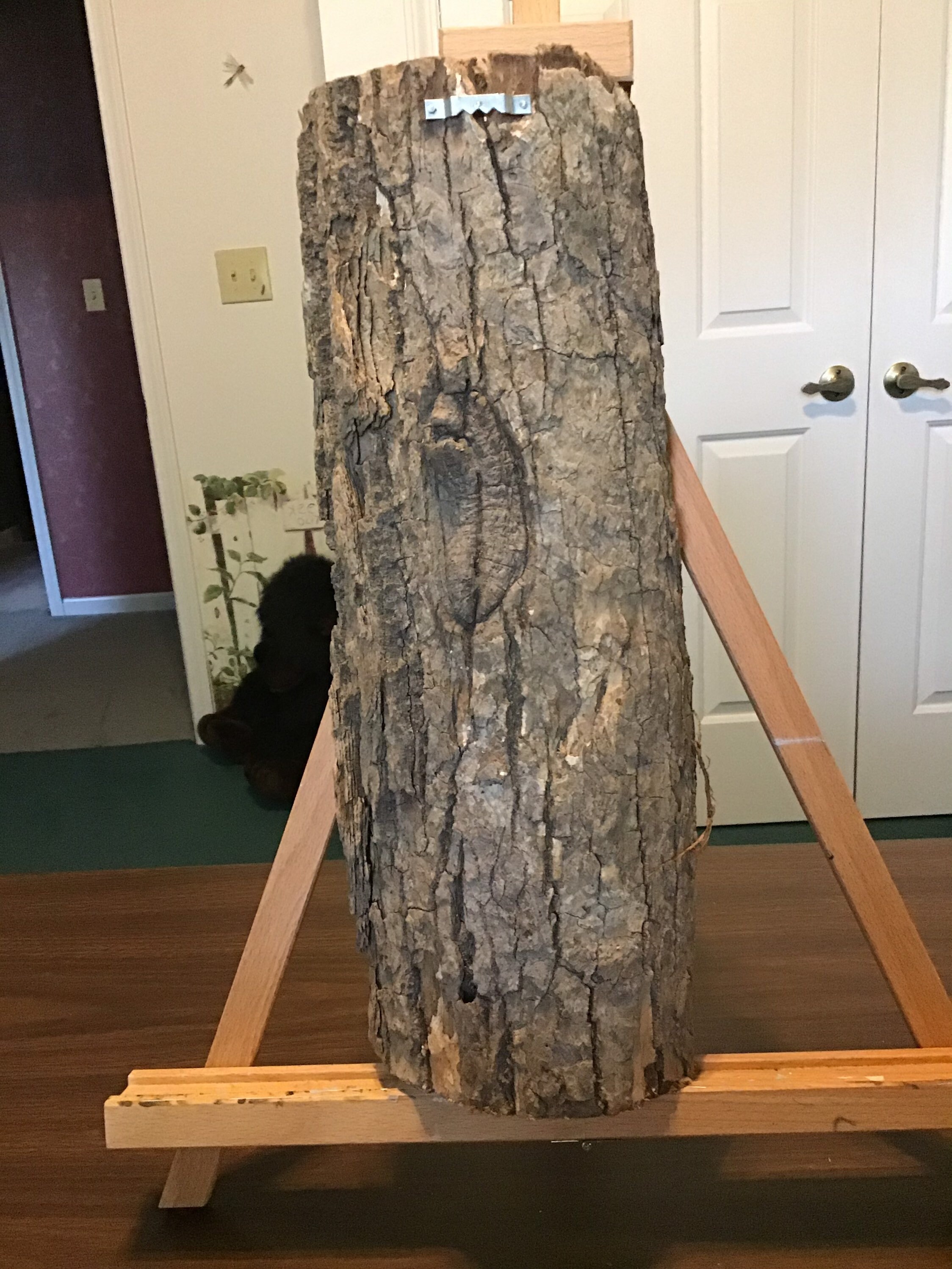 Hand Painted on Half Bark Round - Etsy