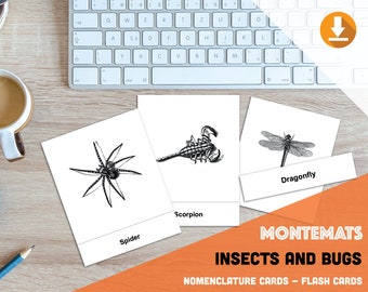 3-part Cards: Marine Invertebrates printable PDF - Etsy