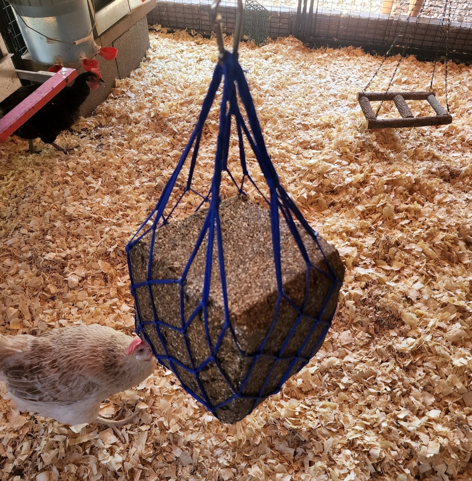 Chicken Run Coop 25lb Flock Block Bird Seed Hanging Mesh Bag Veggie ...