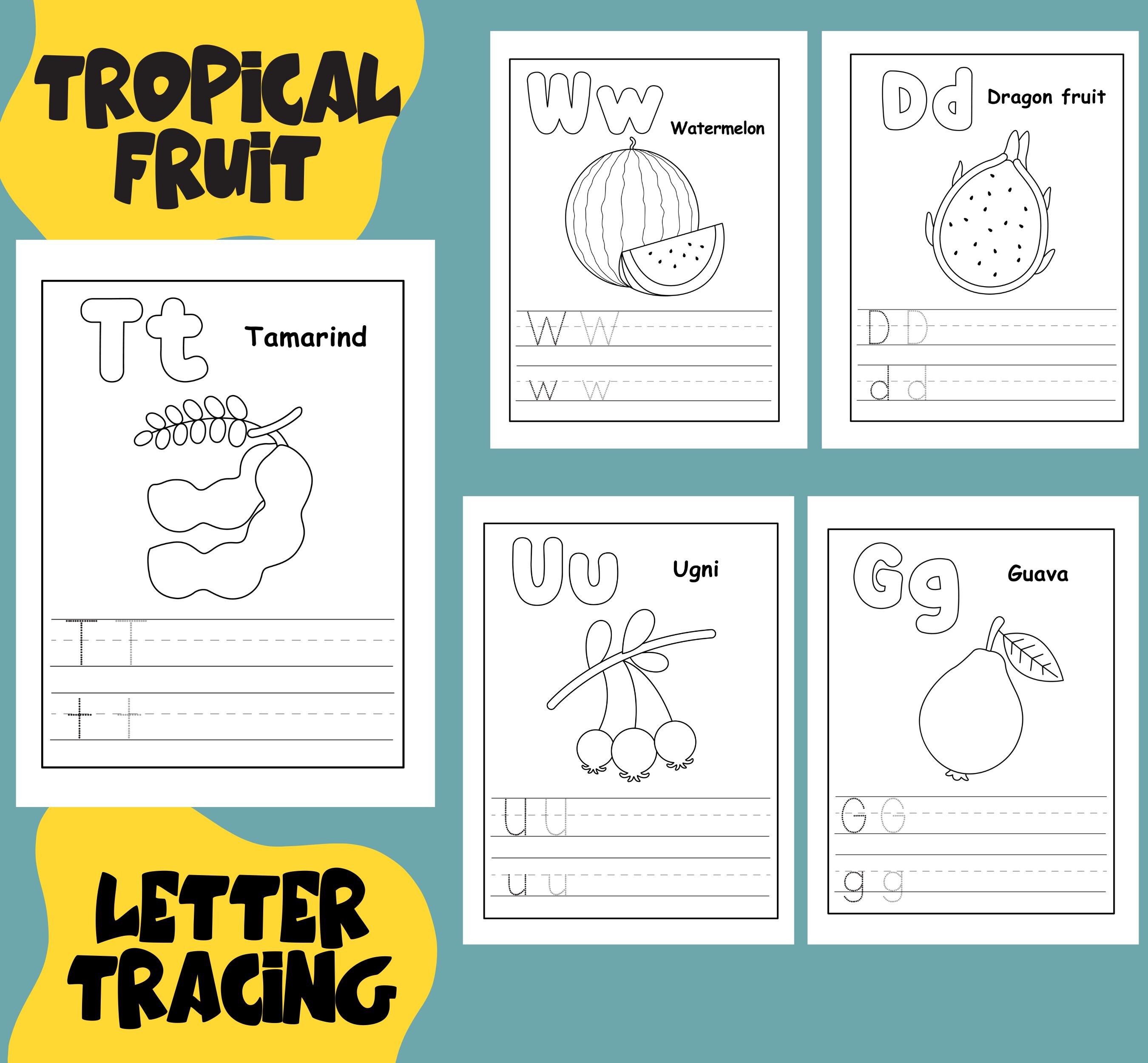 Kindergarten Abc's Learning Worksheets Homeschool Curriculum Preschool ...