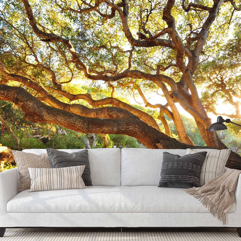Big Tree Wallpaper - Etsy