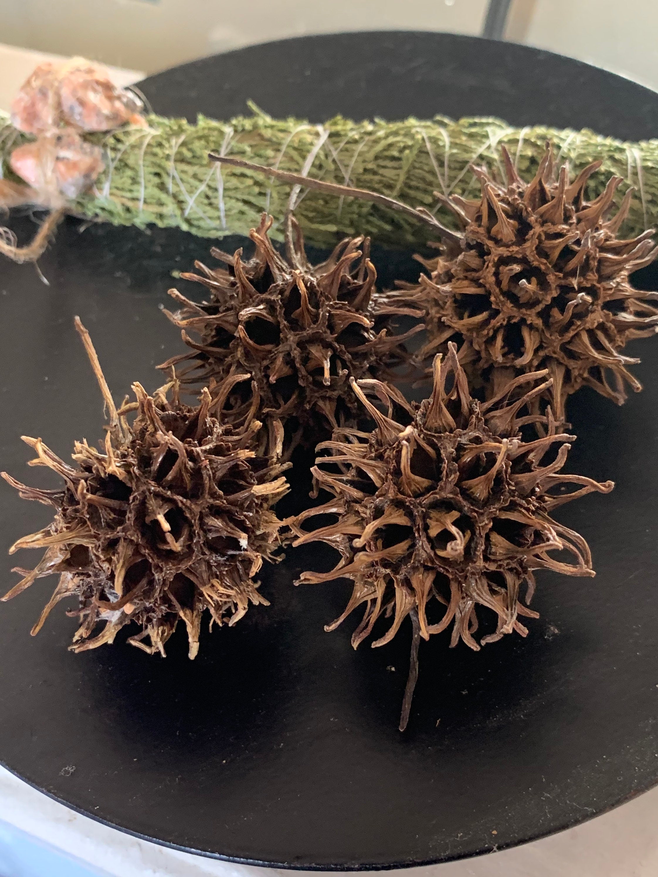 Sweet Gum Seed Pods-witches Burrs - Etsy