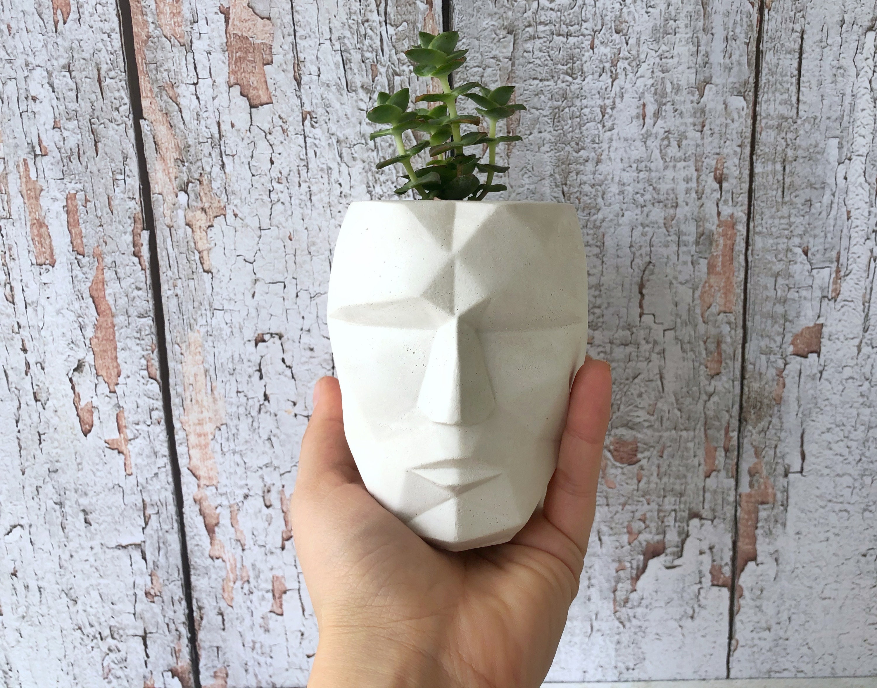 Paint your own strong face planter pot / Succulents pot | Etsy